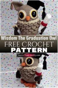 25 Free Crochet Owl Patterns - Amigurumi Patterns