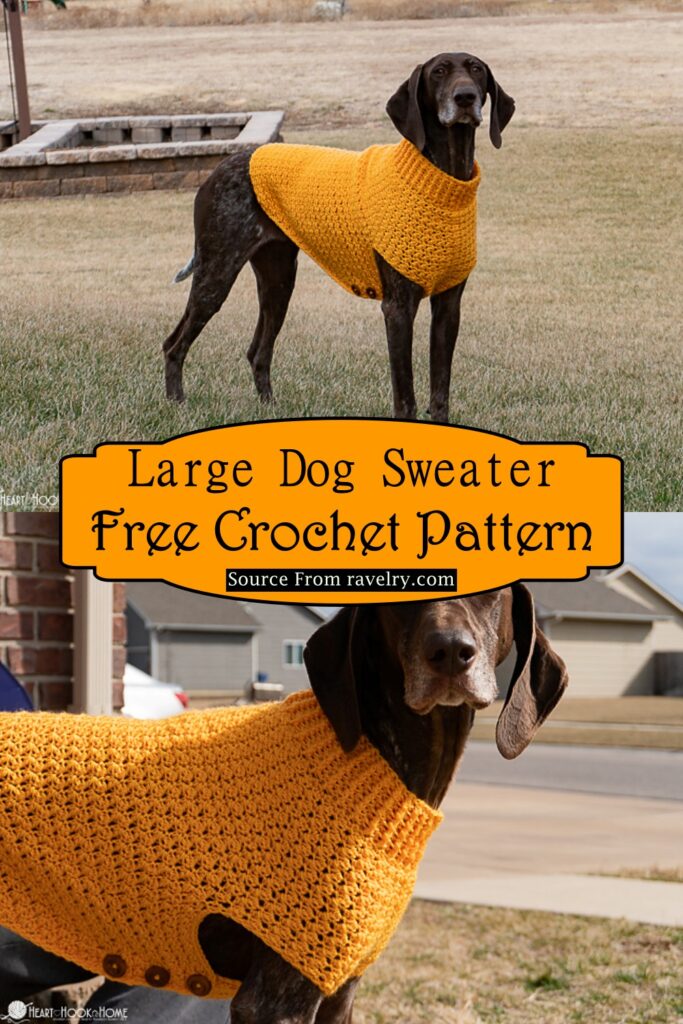 30 Free Crochet Dog Sweater Patterns