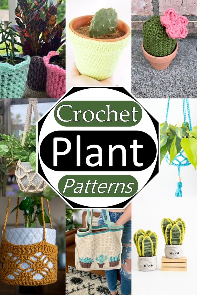 15 Crochet Plant Patterns For Indoor Decorations