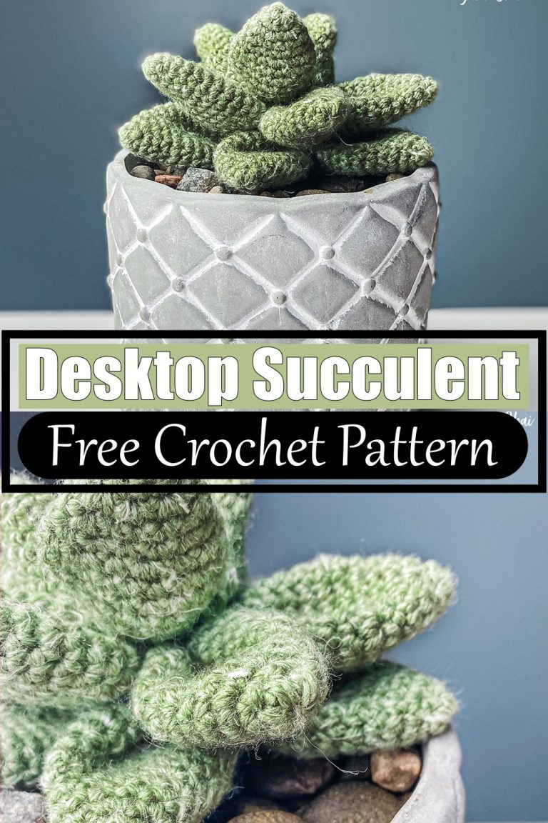 19 Easy Crochet Succulent Patterns