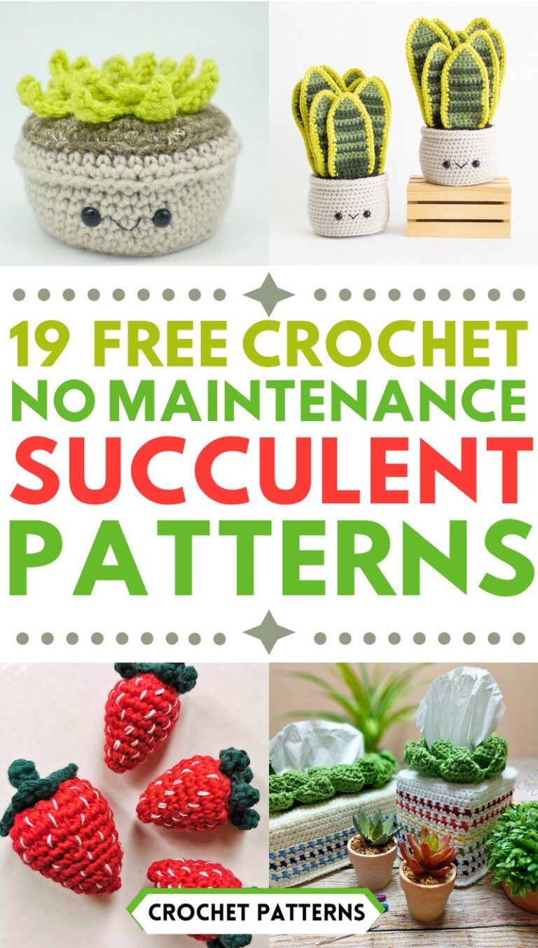 19 Easy Crochet Succulent Patterns