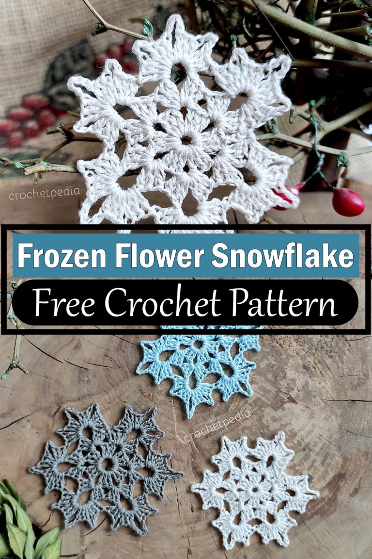 12 Crochet Frozen Patterns For Beginners