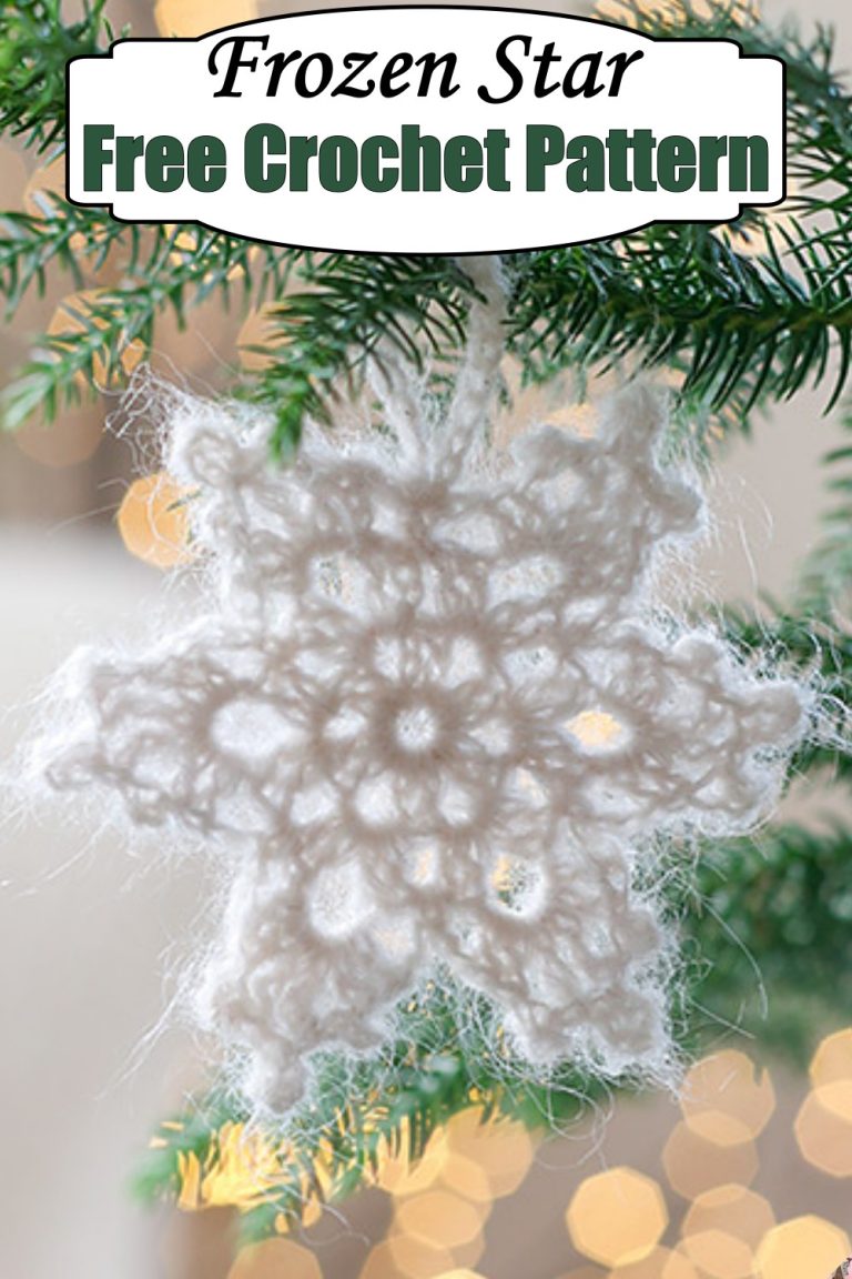 12 Crochet Frozen Patterns For Beginners