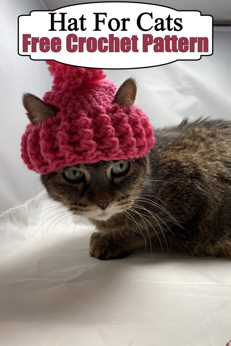 20 Crochet Cat Hat Patterns