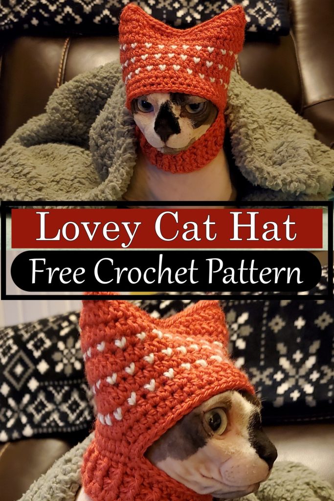 20 Crochet Cat Hat Patterns