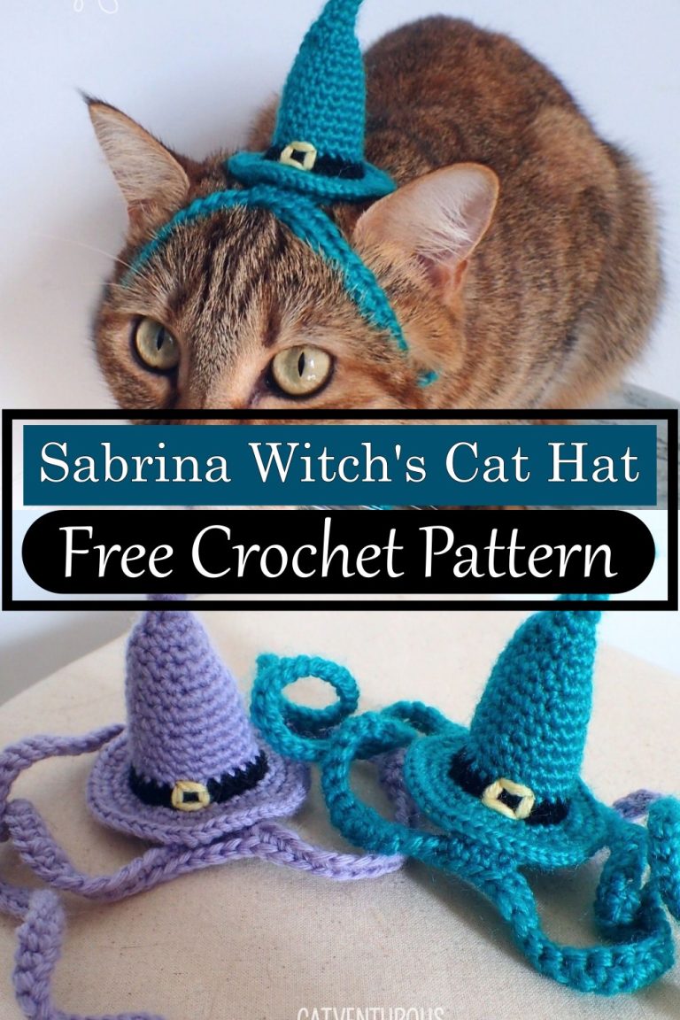 20 Crochet Cat Hat Patterns