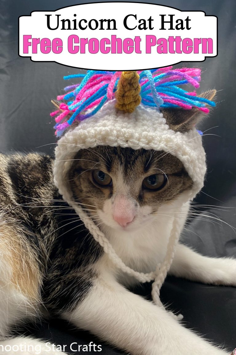 20 Crochet Cat Hat Patterns