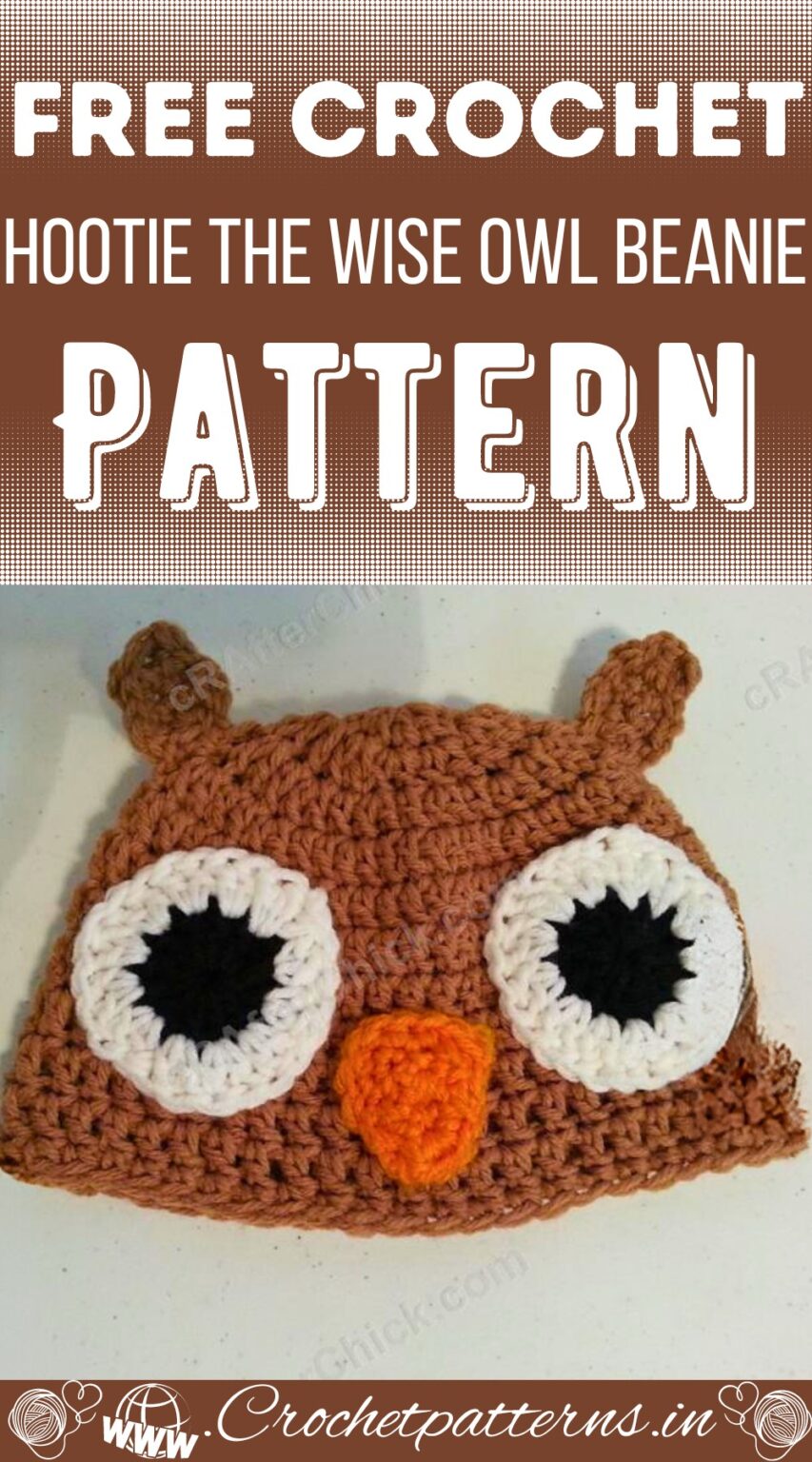 6 Adorable Cute Crochet Owl Hat Patterns