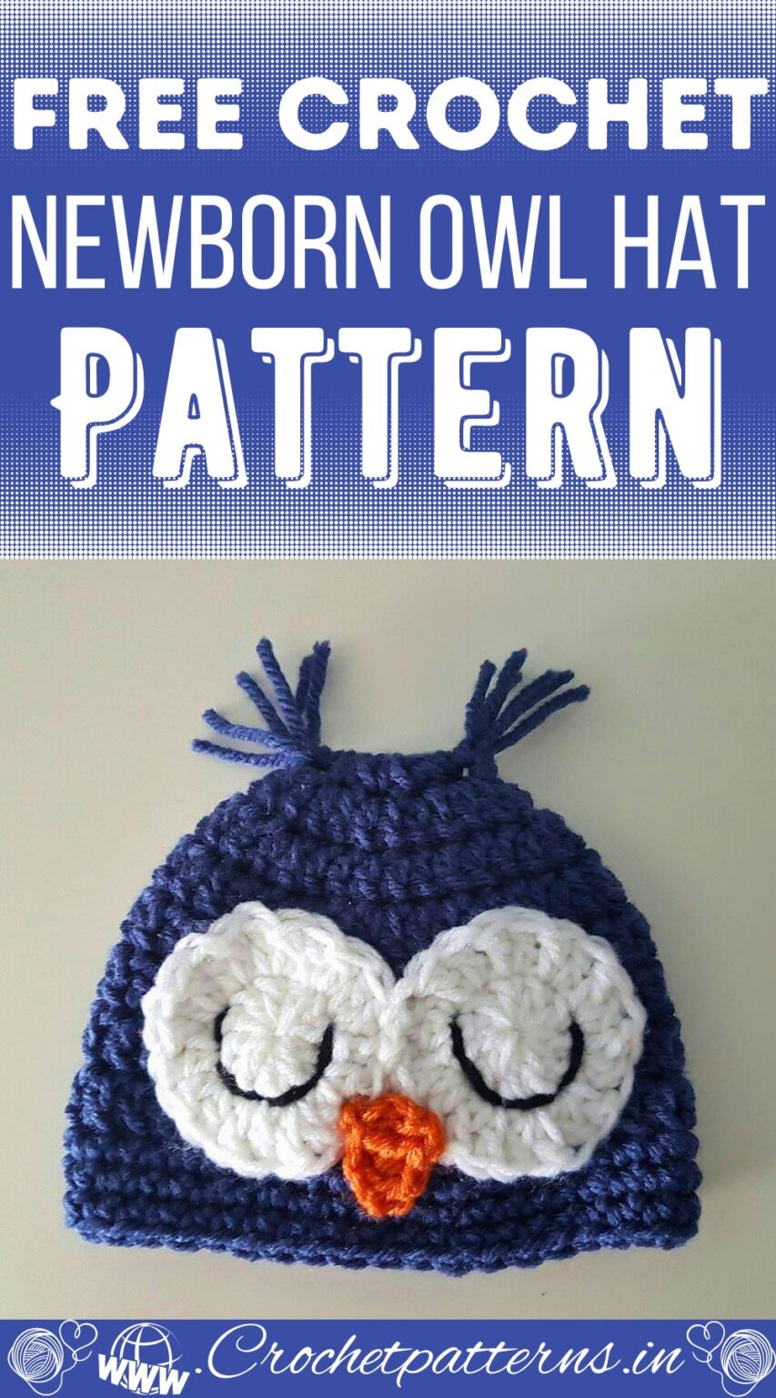 6 Adorable Cute Crochet Owl Hat Patterns