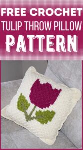 11 Unique Stylized Crochet C2C Pillow Patterns