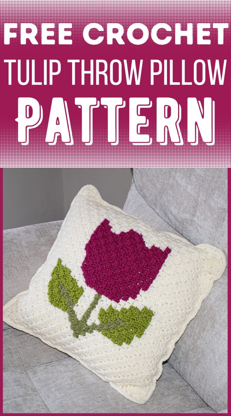11 Unique Stylized Crochet C2C Pillow Patterns