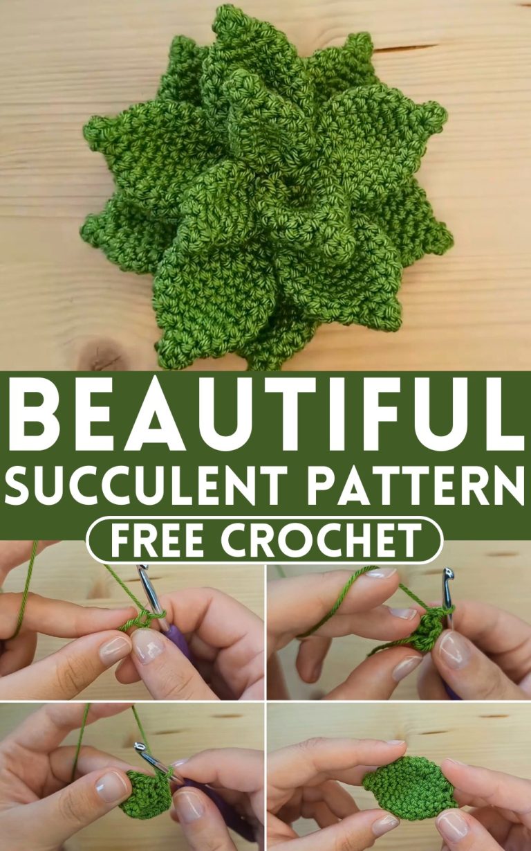 Beautiful Green Crochet Succulent Pattern