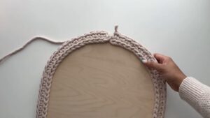 Step-by-Step Free Crochet Moses Basket Pattern