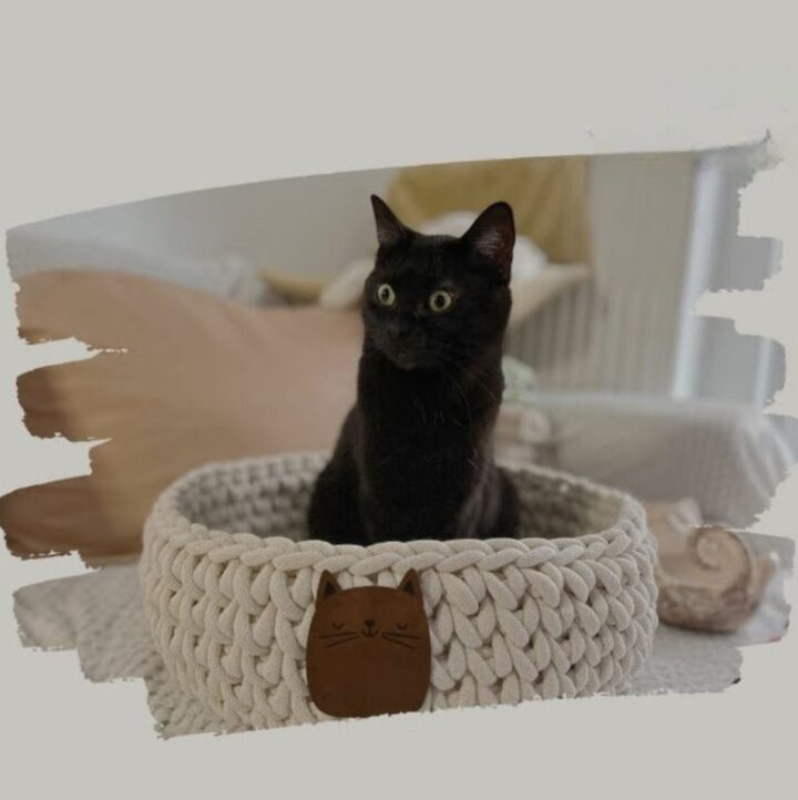 15 Free Crochet Can Cozy Patterns In All Sizes